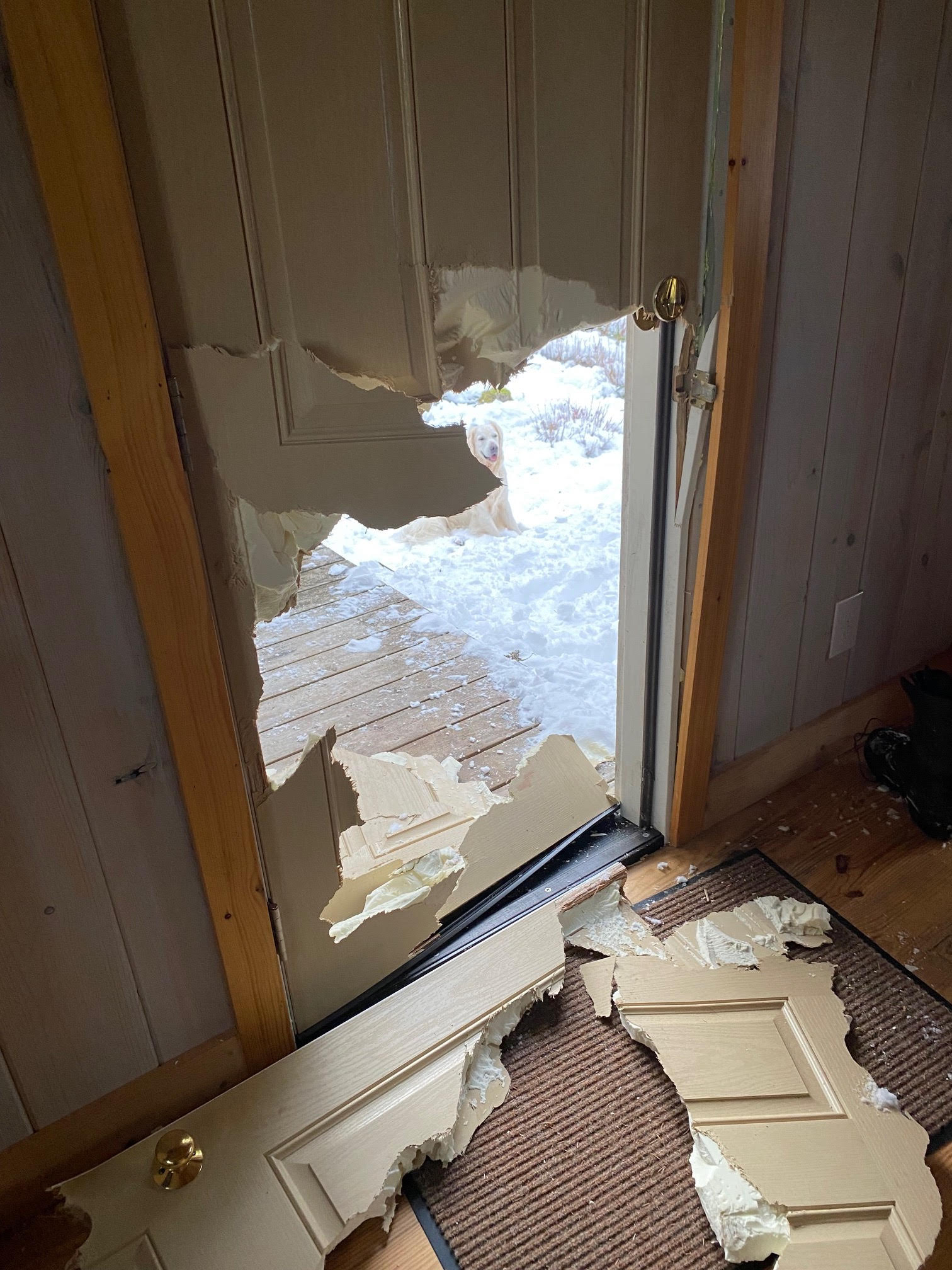 Dec. 14: Bear break-ins, basketball, and Hanukkah parties - Chilkat ...