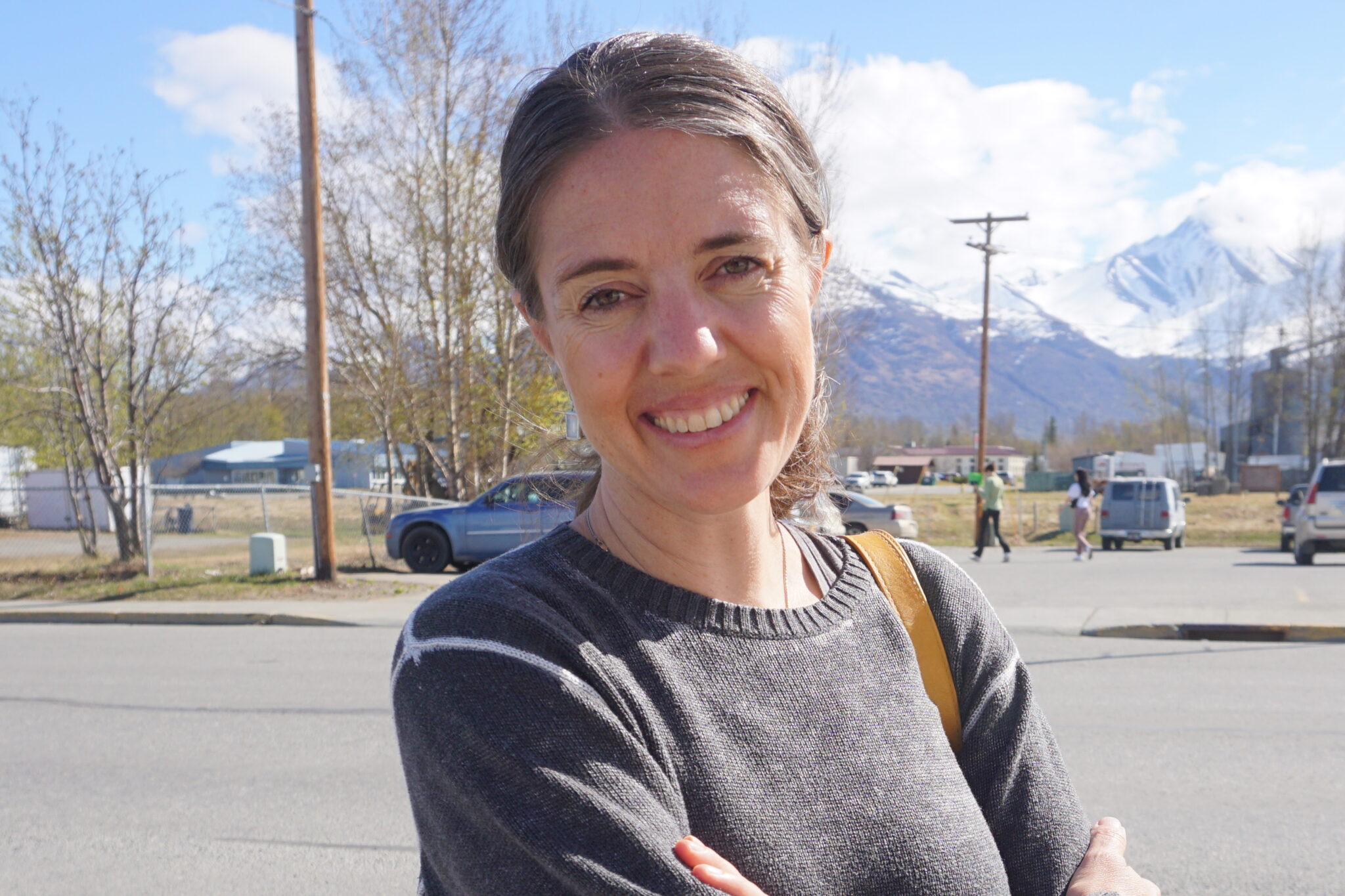 Dr. Anne Zink to leave position as Alaska chief medical officer ...