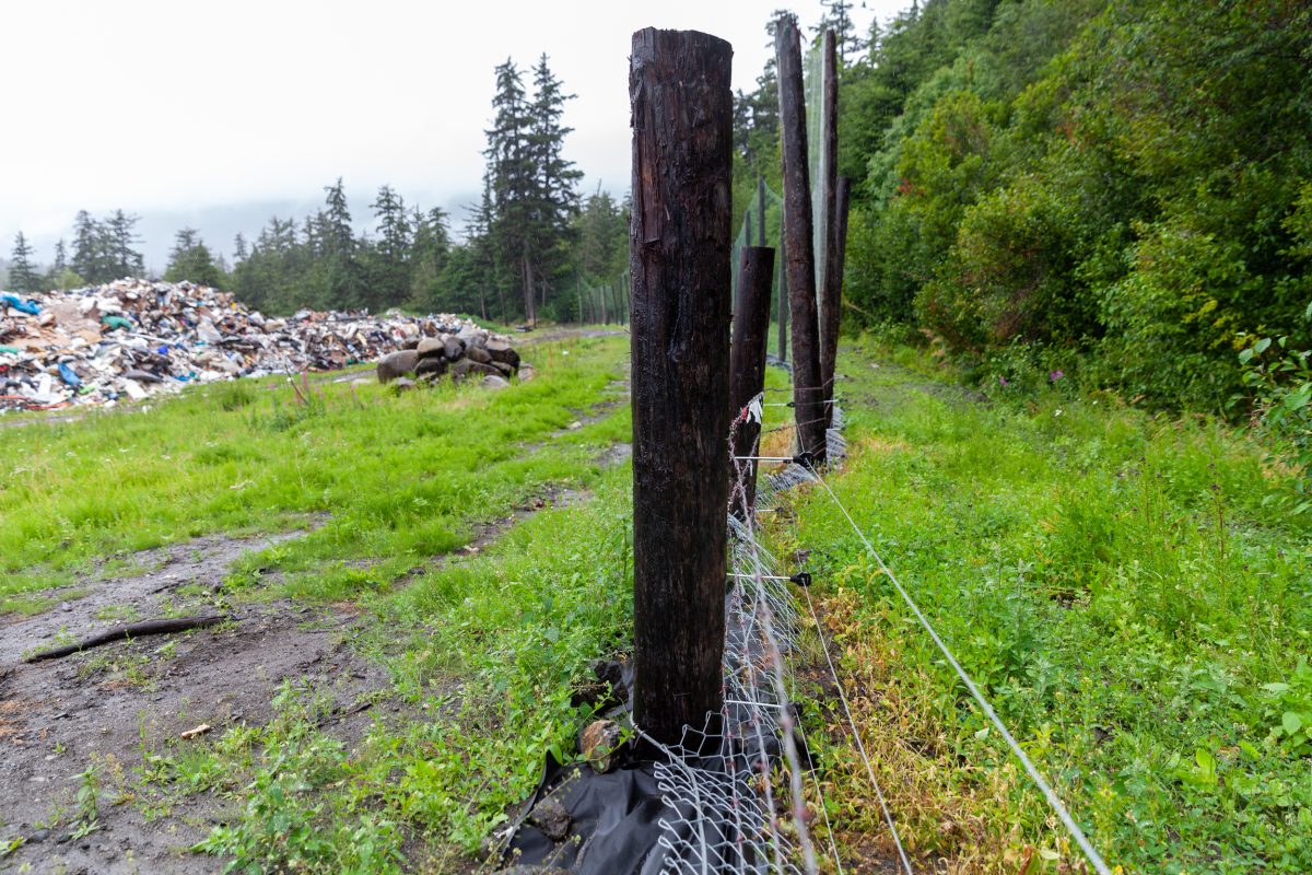 Third time’s a charm: Landfill puts up new fence to keep brown bears at ...