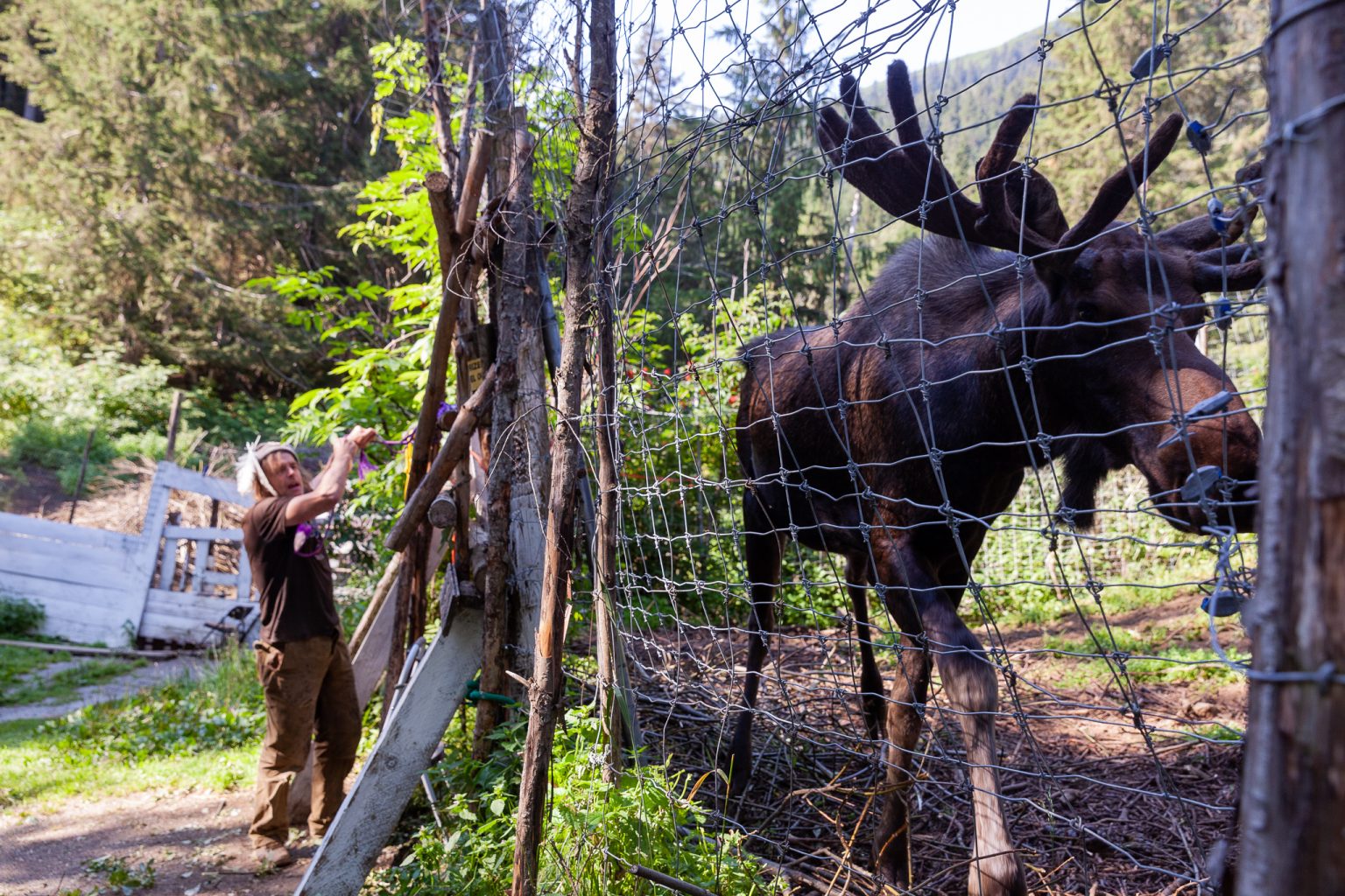 Kroschel loses USDA license, wildlife center closes to the public ...