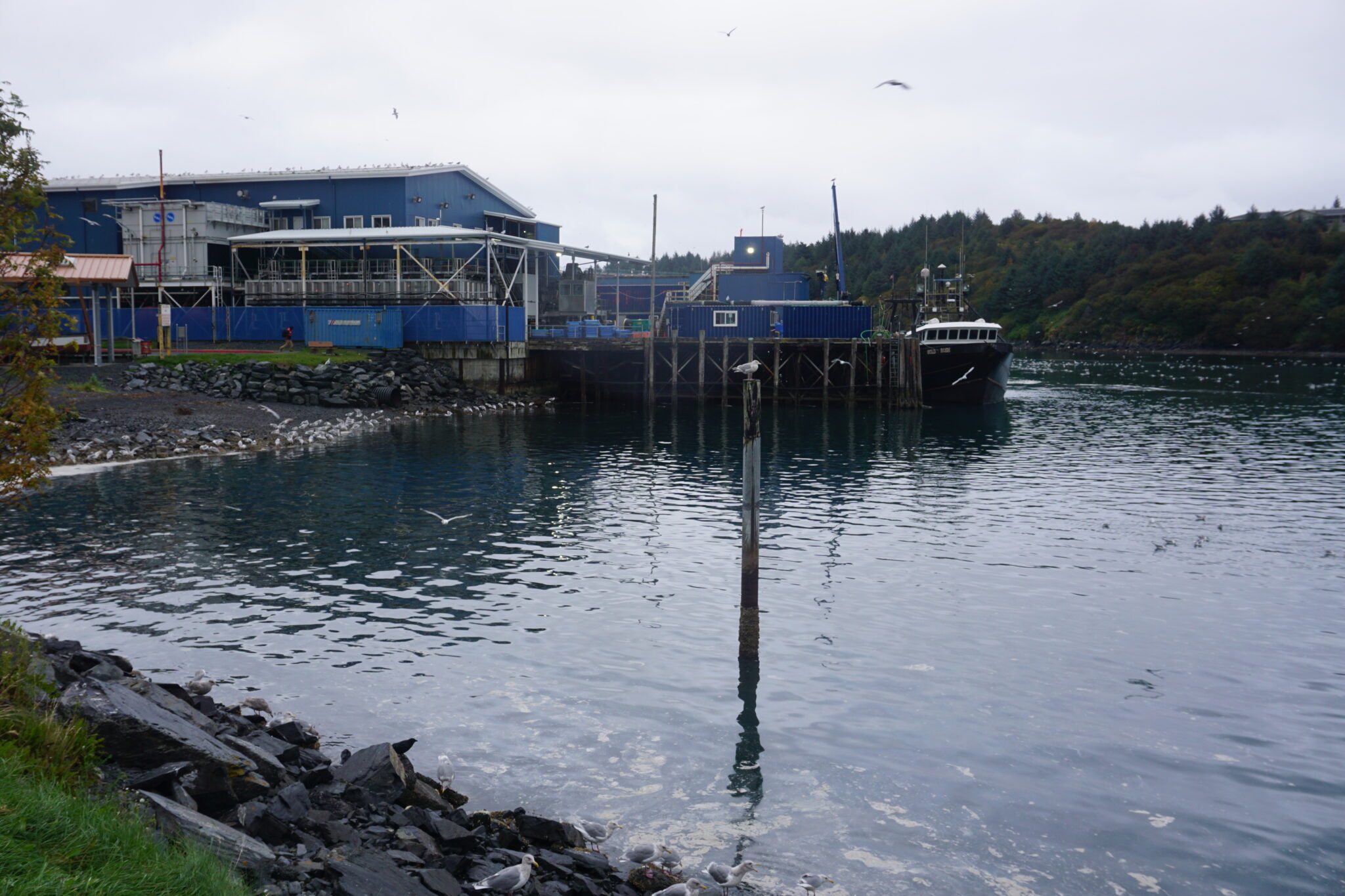 Alaska seafood processing workers made more money in 2023, but there ...