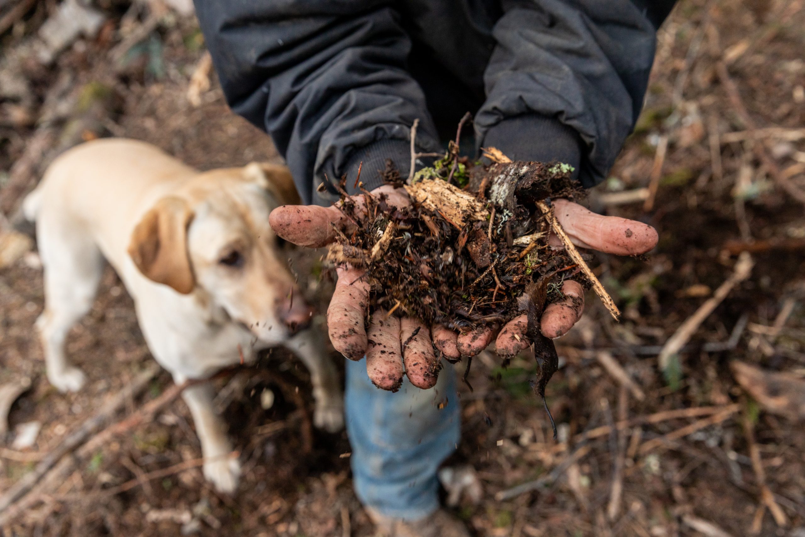 Hillside fire dispute results in trespass order against a firefighter ...