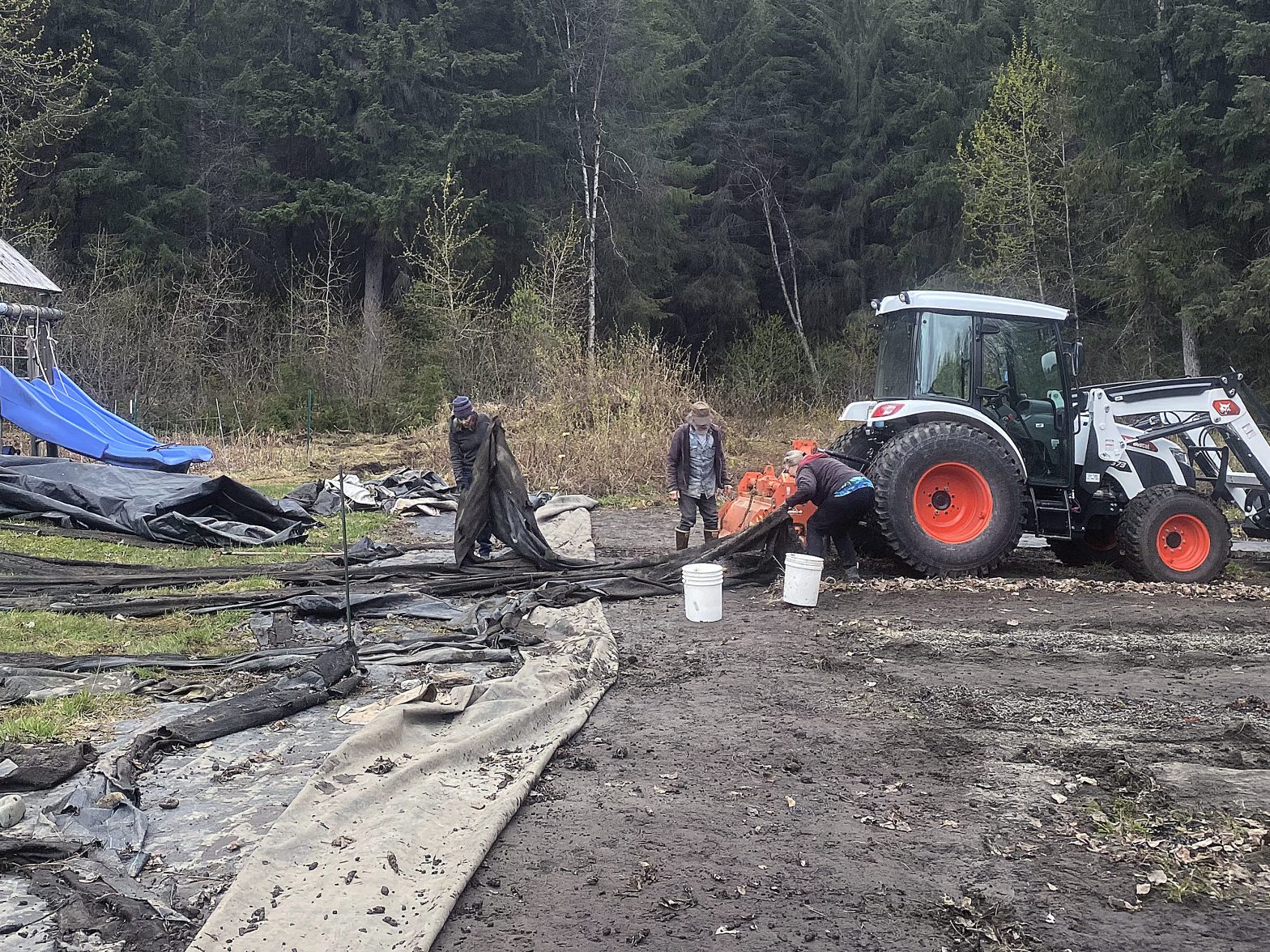 Chilkat Valley News