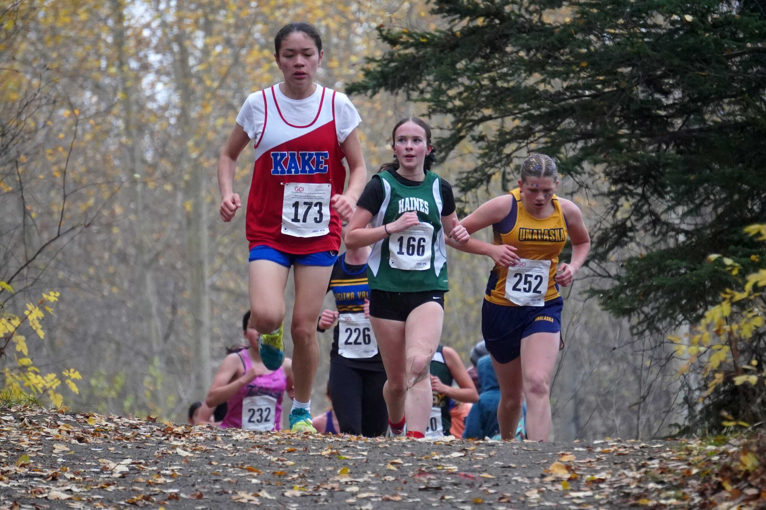 Lone Haines runner ‘ran her best race of the season’ at state in Palmer ...
