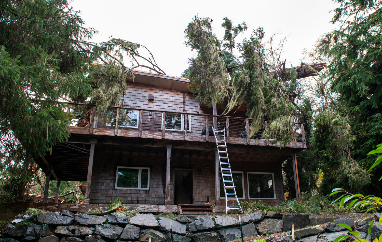 Sitkan Escapes Injury as Tree Crushes House - Chilkat Valley News