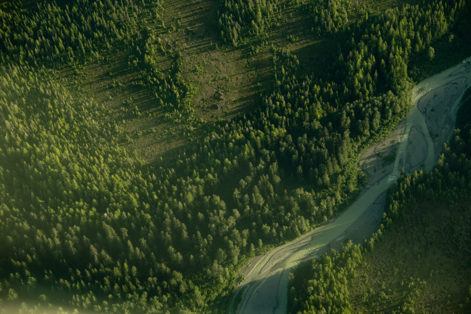 Fish Creek Archives - Chilkat Valley News